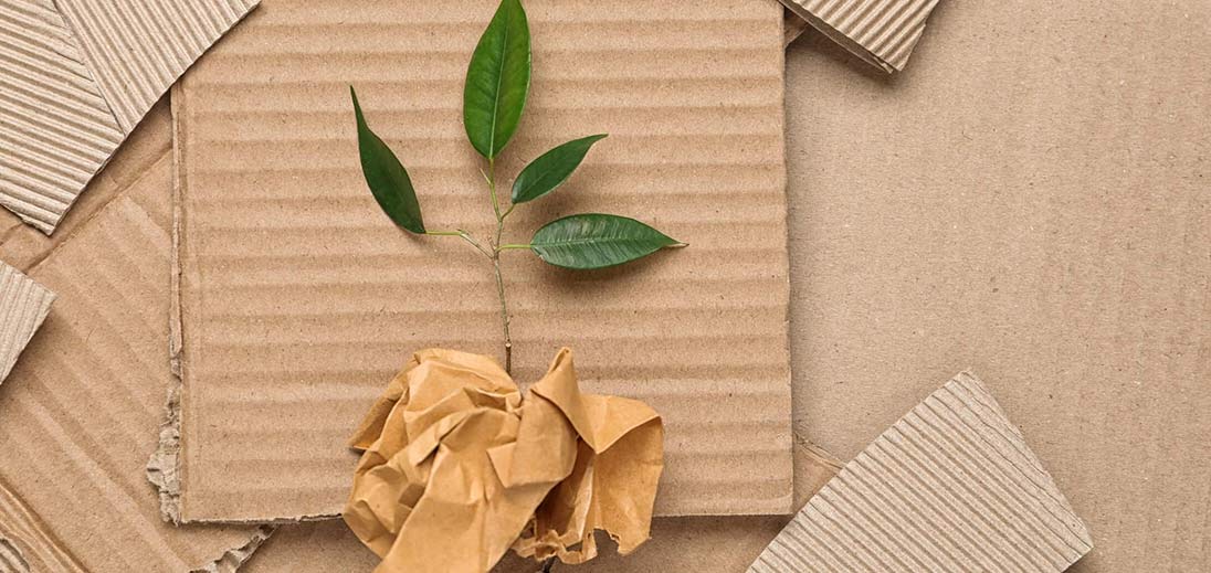 Packaging News, Case Studies And Inspiration | Antalis UK