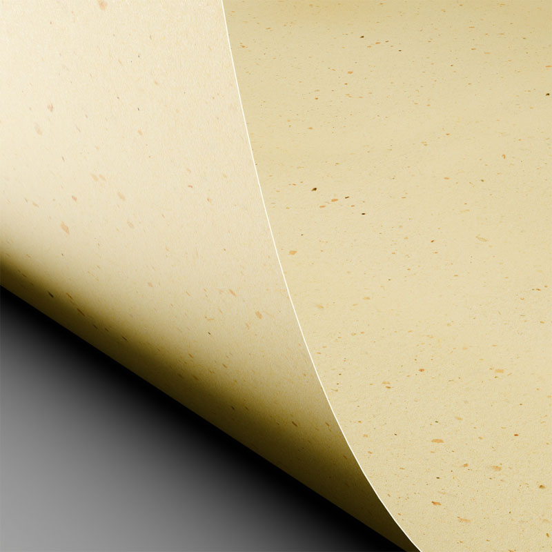 Creative Papers Innovation Mailer - Print | Antalis UK