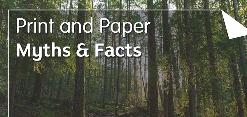 Antalis Supplies Paper for Two Sides - News | Antalis UK