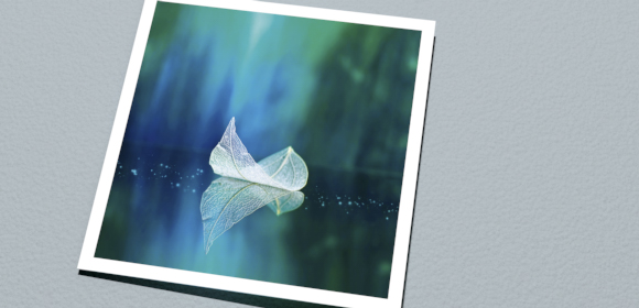 Cocoon Offset Recycled Paper - Exceptional Whiteness | Antalis UK