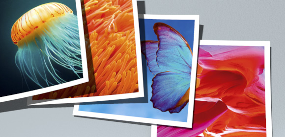 Cocoon Offset Recycled Paper - Exceptional Whiteness | Antalis UK