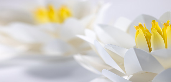 Invercote - Quality Graphical Boards | Antalis UK