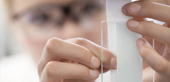 UPM Raflatac - Range Of Adhesive Labels | Antalis UK