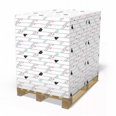 Cocoon Silk 100% Recycled Paper White SRA2 250gsm Pallet of 8000 ...