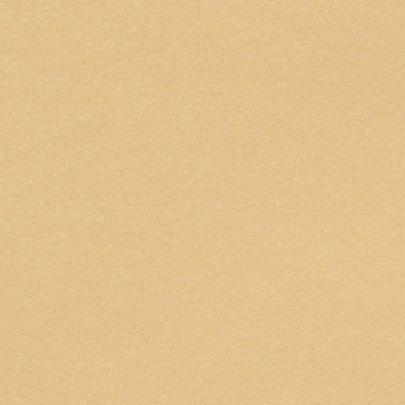 Olin Colours Fawn Creative Paper B1 120gsm Pack of 250 Sheets | Antalis UK